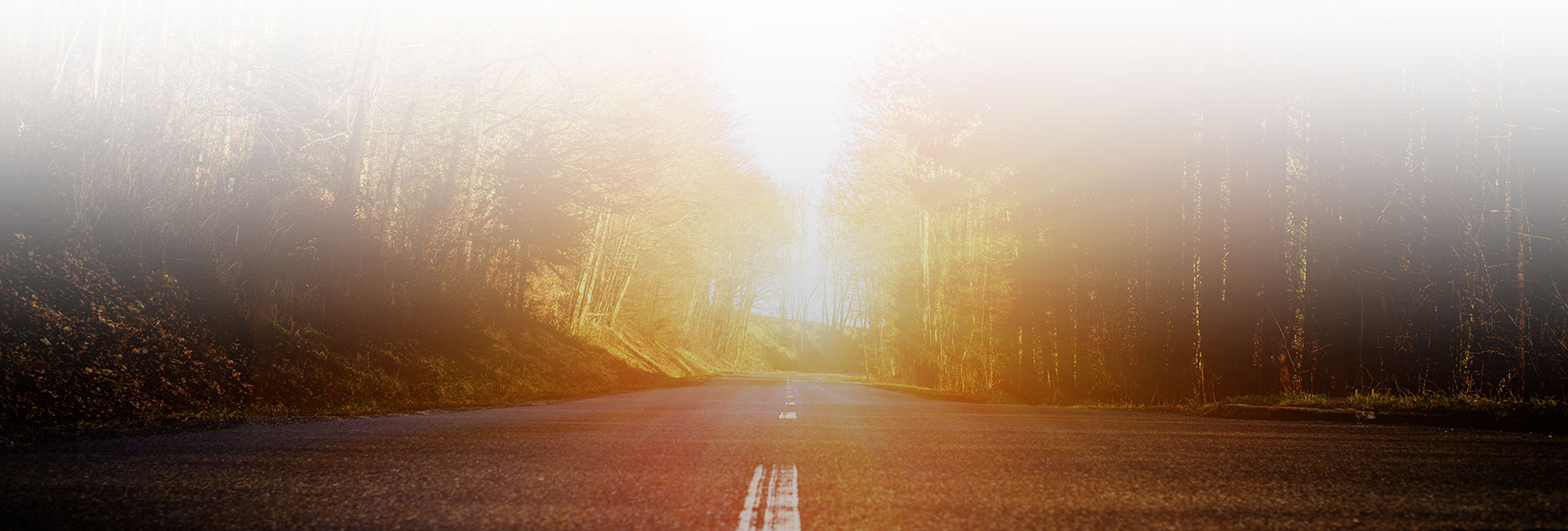 Trans-Bridge Lines | Daily Bus Service | Bethlehem PA